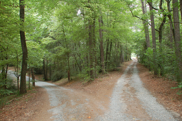 Life Lessons from Dr. Seuss | Don't Forget the Secret Ingredient